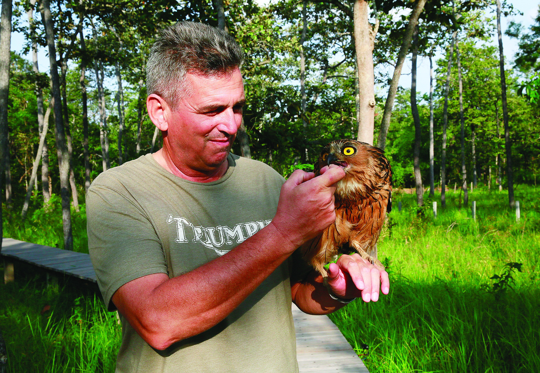 Bảo vệ rừng ở Campuchia: Canh gác vườn địa đàng - Tuổi Trẻ Online