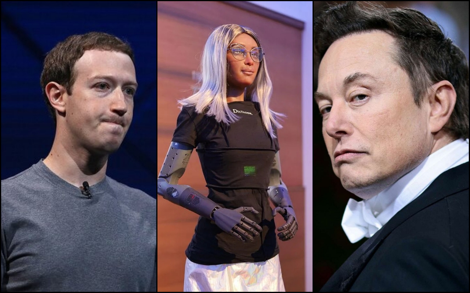 CEO robot tuyên bố AI có thể khiến Elon Musk và Mark Zuckerberg thất ...