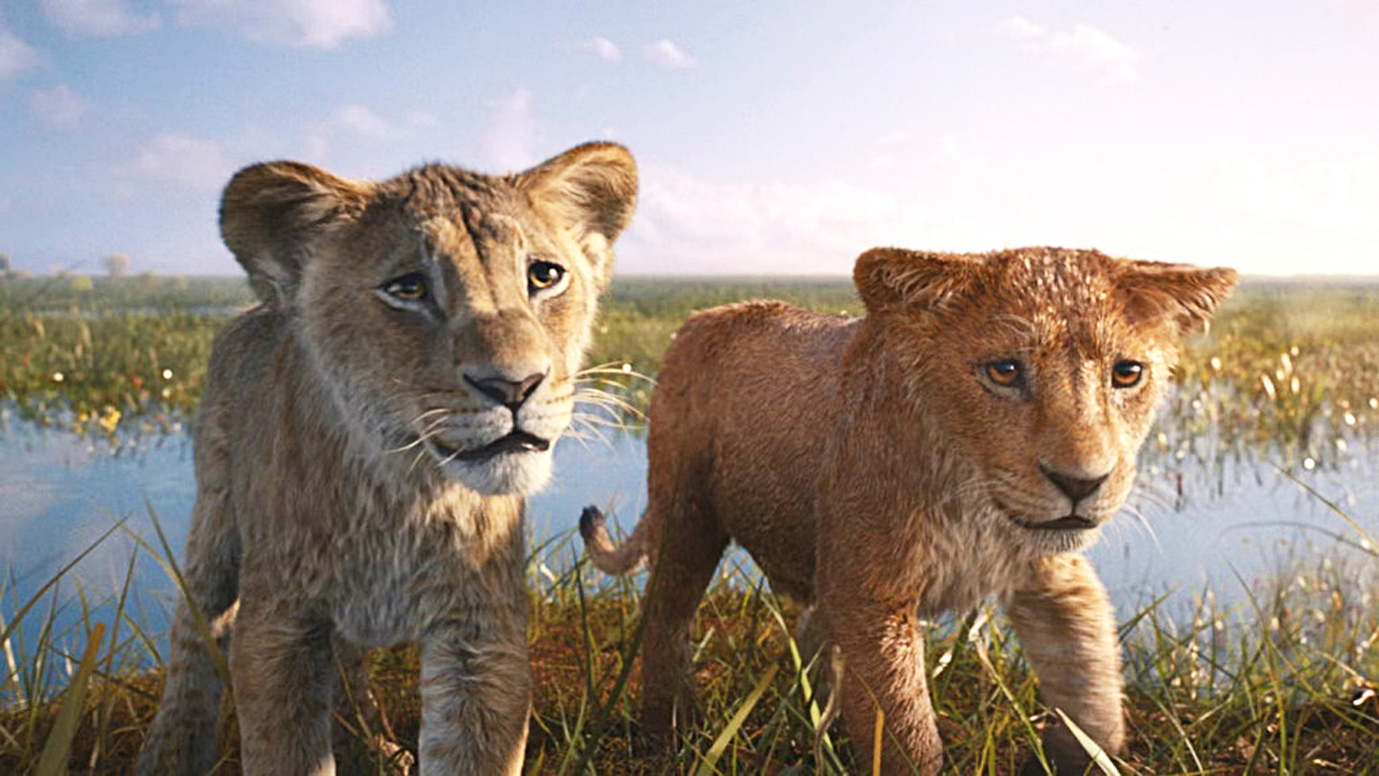 Mufasa: Vua sư tử và tiếng gầm gừ yếu ớt của Disney - Tuổi Trẻ Online