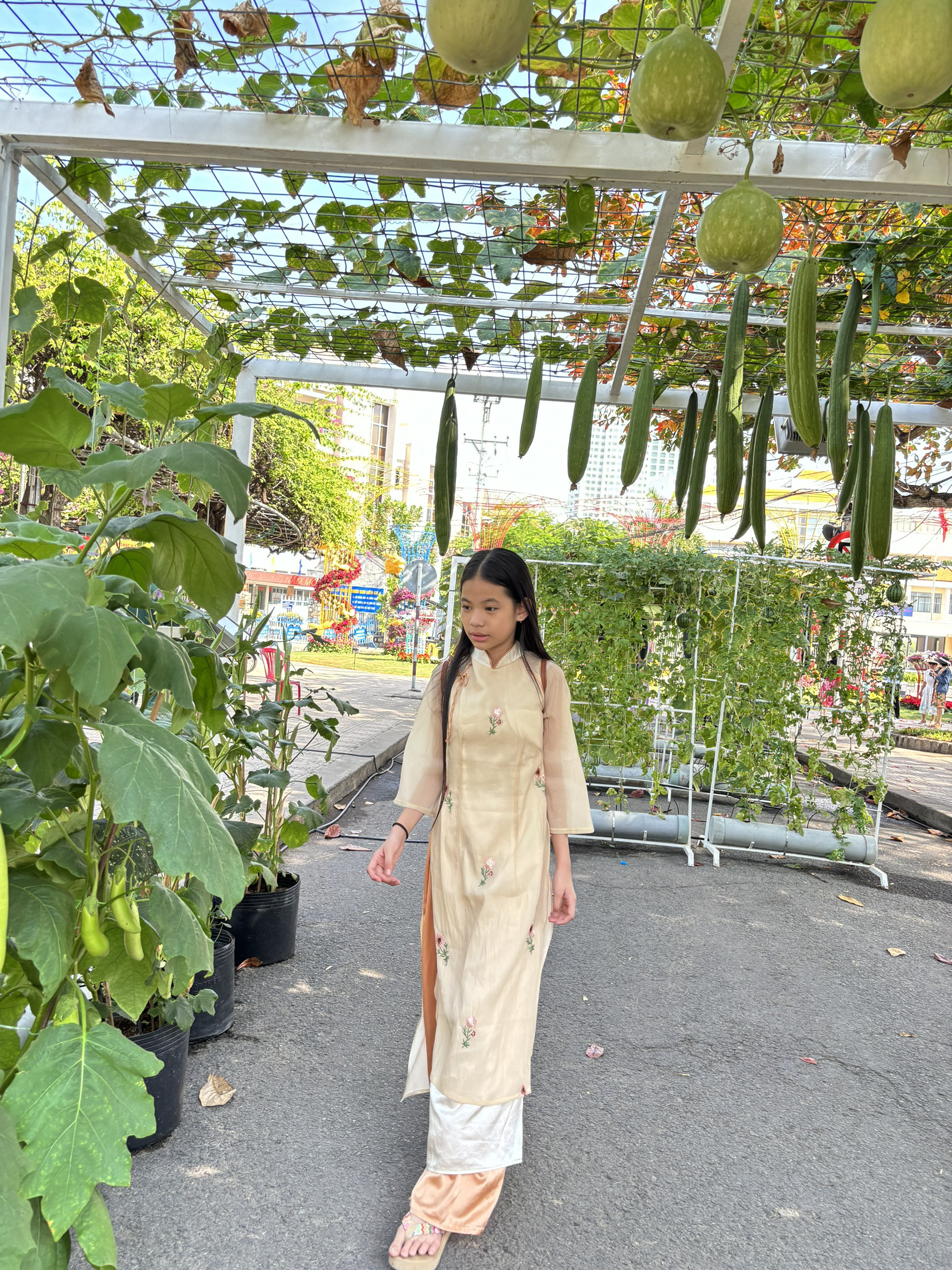 Ấn tượng Hội hoa xuân Nha Trang (Khánh Hòa)