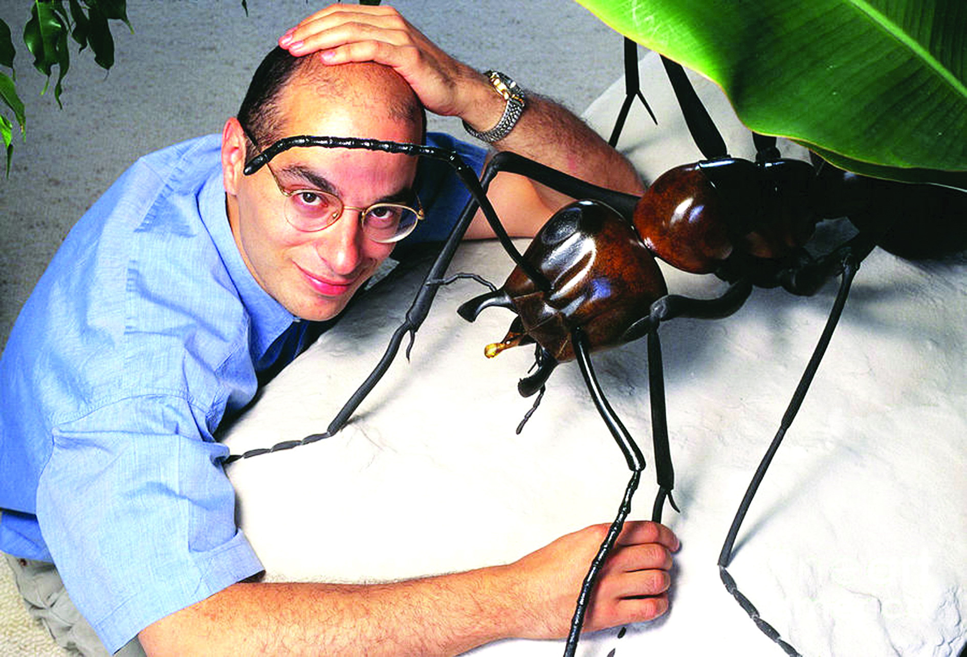 Bernard Werber, tác giả bộ ba Kiến: "Tìm sự hài hòa giữa loài người và ...