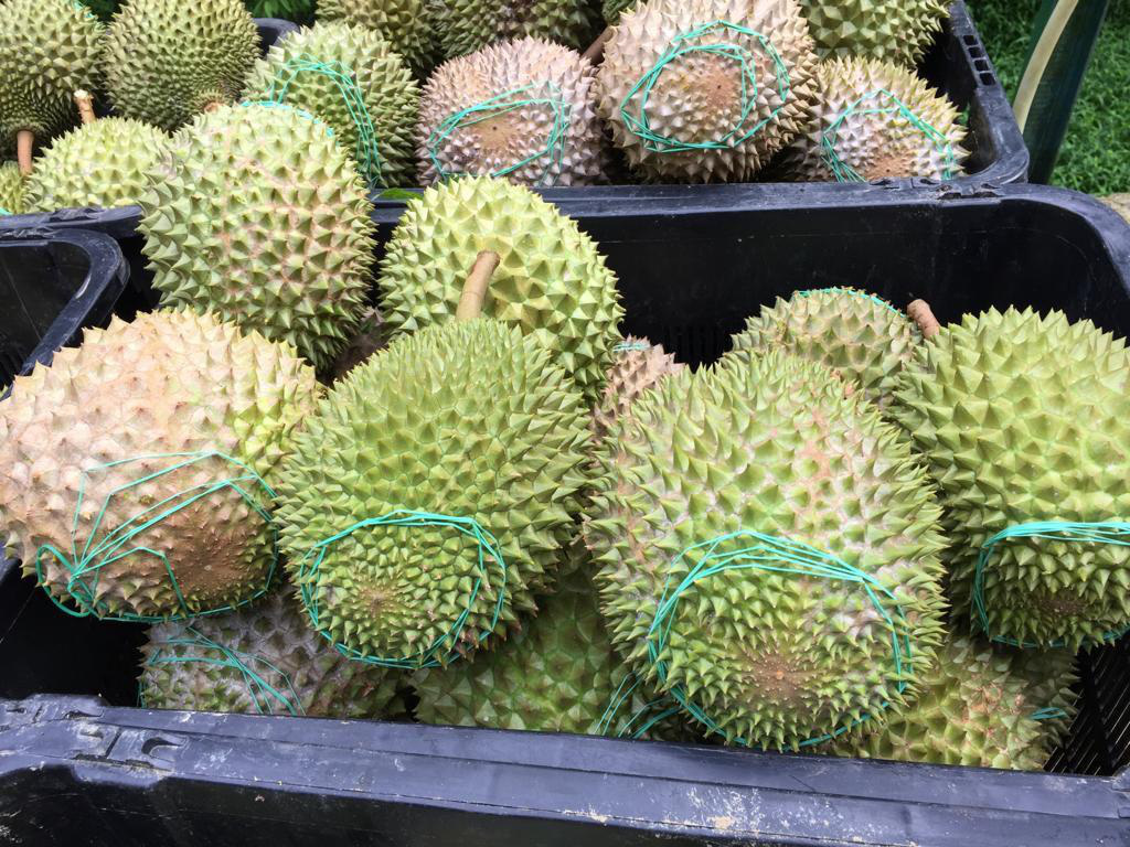 Cadimi vì sao xuất hiện trong thực phẩm, gây hại ra sao? - Tuổi Trẻ Online