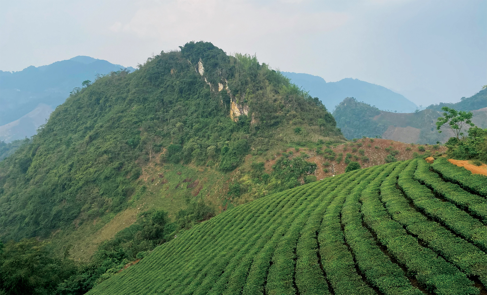Những trải nghiệm mùa hè không thể bỏ lỡ ở Hang Táu