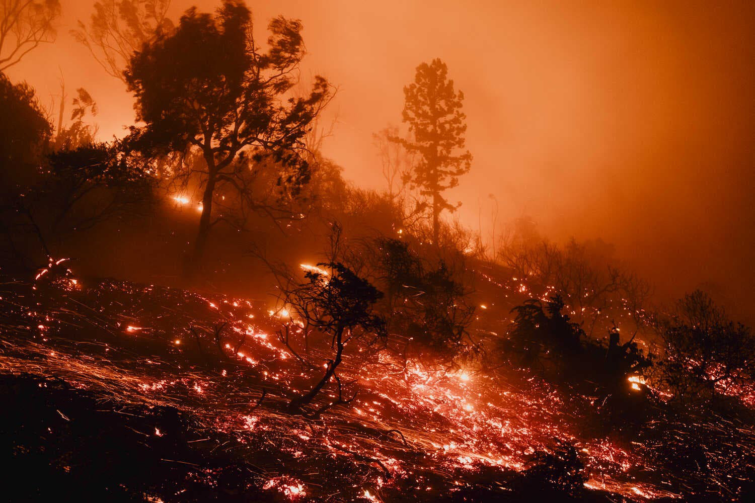 Cháy dữ dội ở California: 30.000 người sơ tán, nhà bà Harris gặp nguy ...