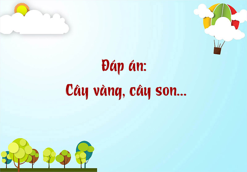 Cái gì càng nhiều thì càng nhẹ? - Tuổi Trẻ Online