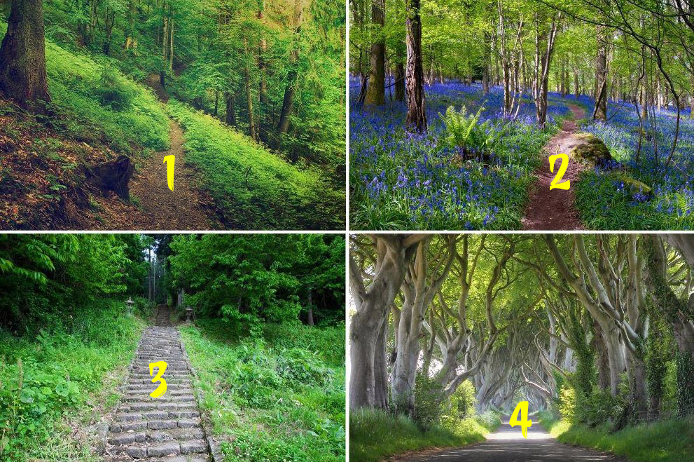 Quiz: Bạn là người cá tính mạnh mẽ hay bản tính dịu dàng? - Tuổi Trẻ Online