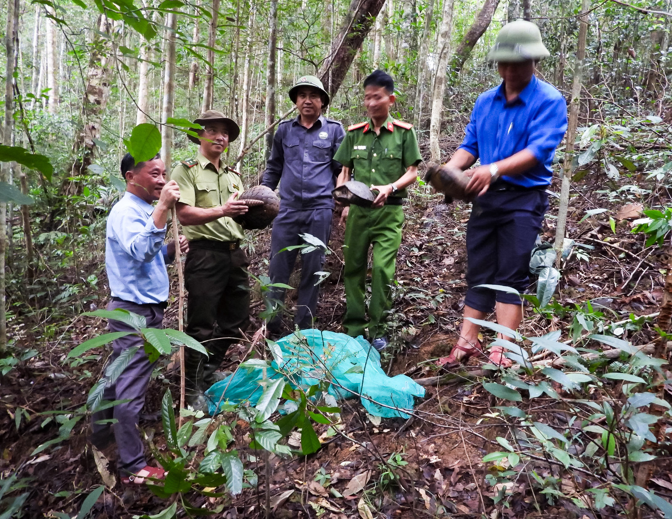 Tê tê Java, rùa núi viền trong sách đỏ được thả về Vườn quốc gia Kon Ka ...