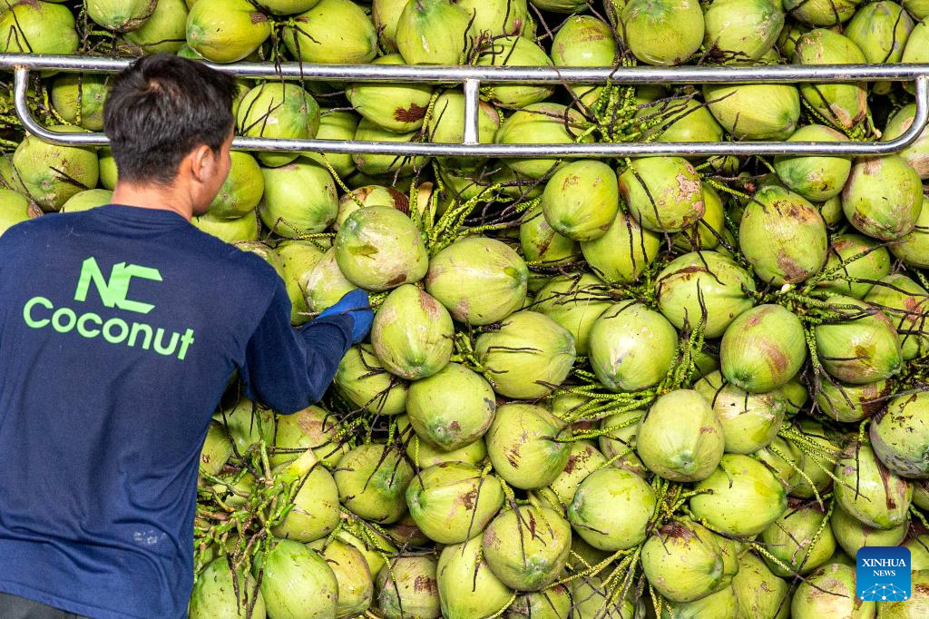 Vietnam’s coconut exports surge as Thai farmers struggle amid price ...