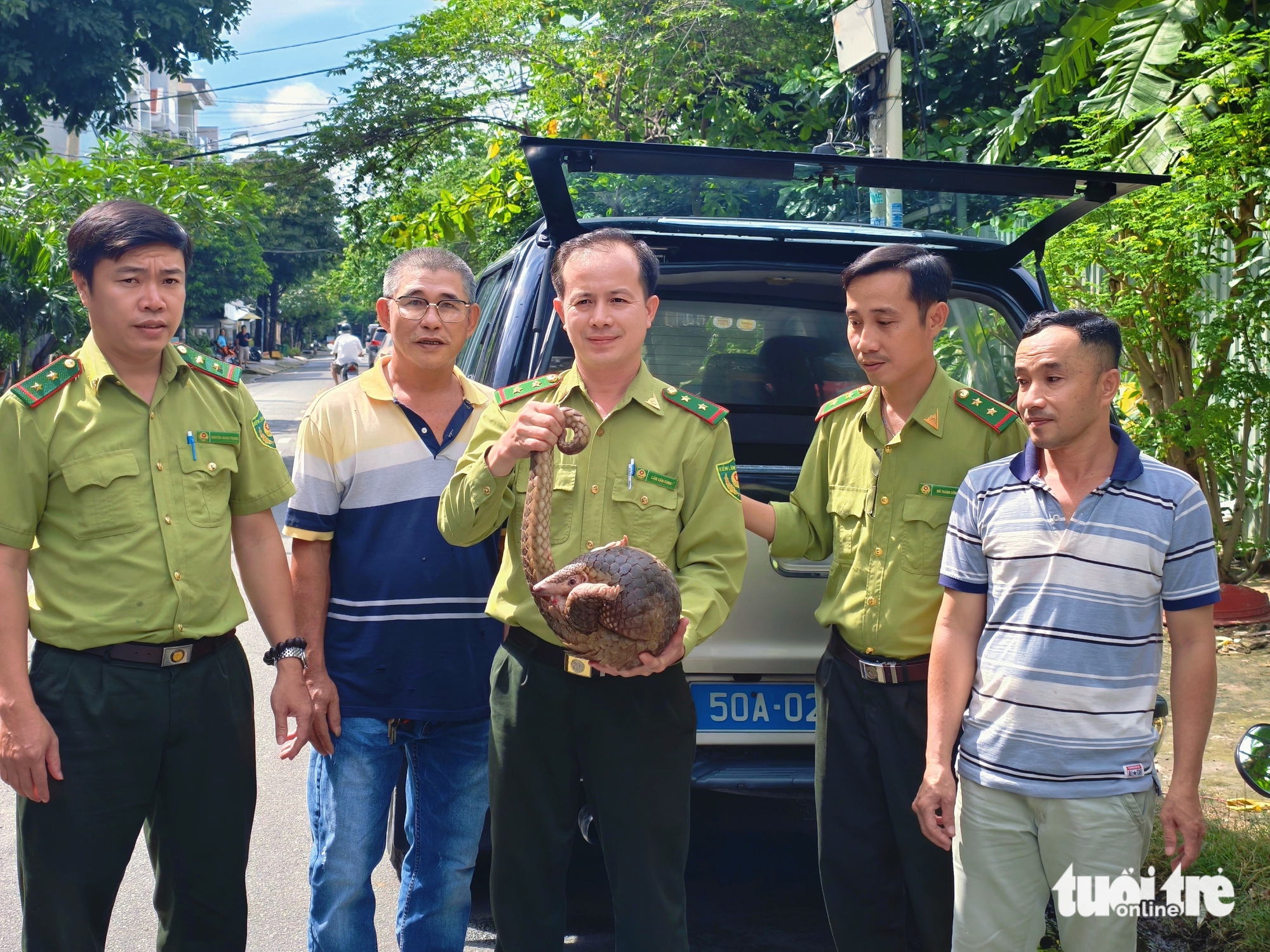 Tê tê Java quý hiếm 5kg 'đi lạc' ở phường An Lạc, người dân bắt lại ...