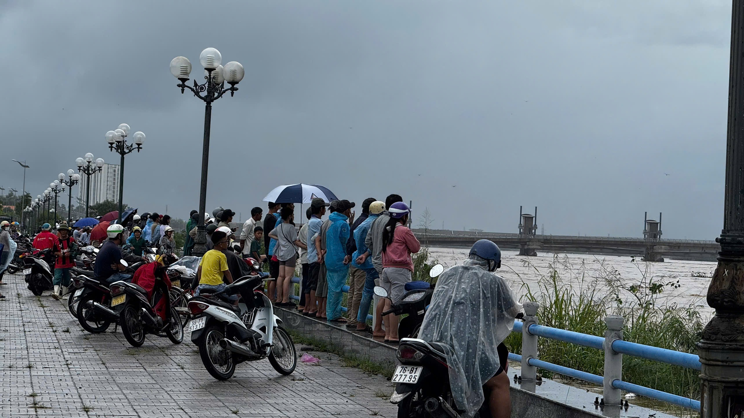 Cứu người đàn ông chăn bò mắc kẹt giữa dòng lũ dữ trên sông Trà Khúc ...