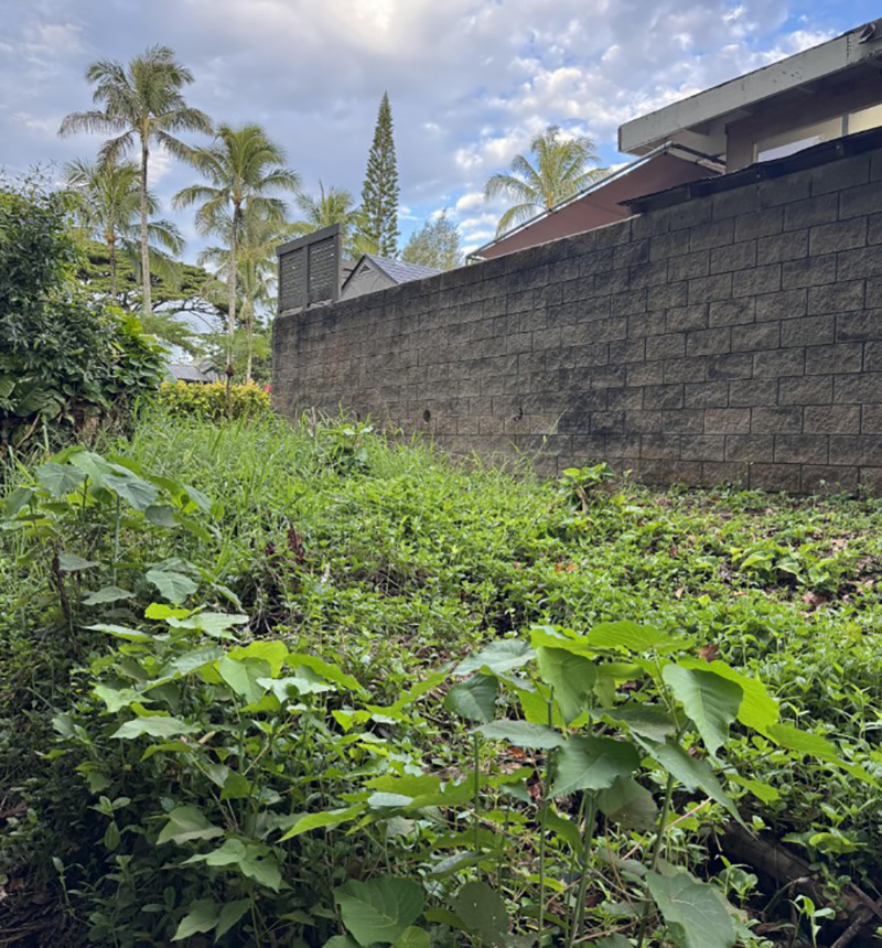 Con mèo đang trốn ở đâu? - Tuổi Trẻ Online