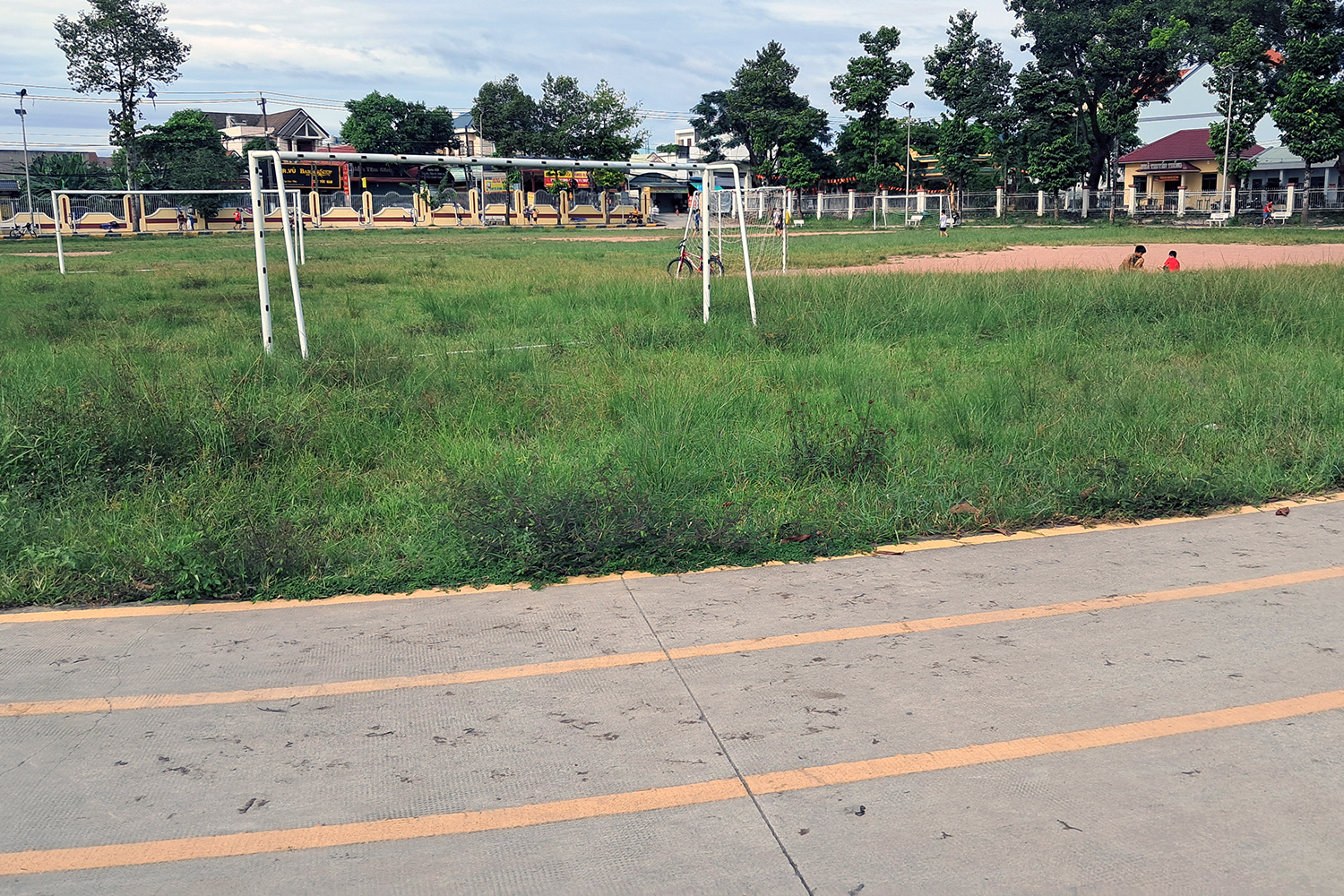 Hàng trăm con giun đất bò lên mặt đường ở Đồng Nai | VOZ