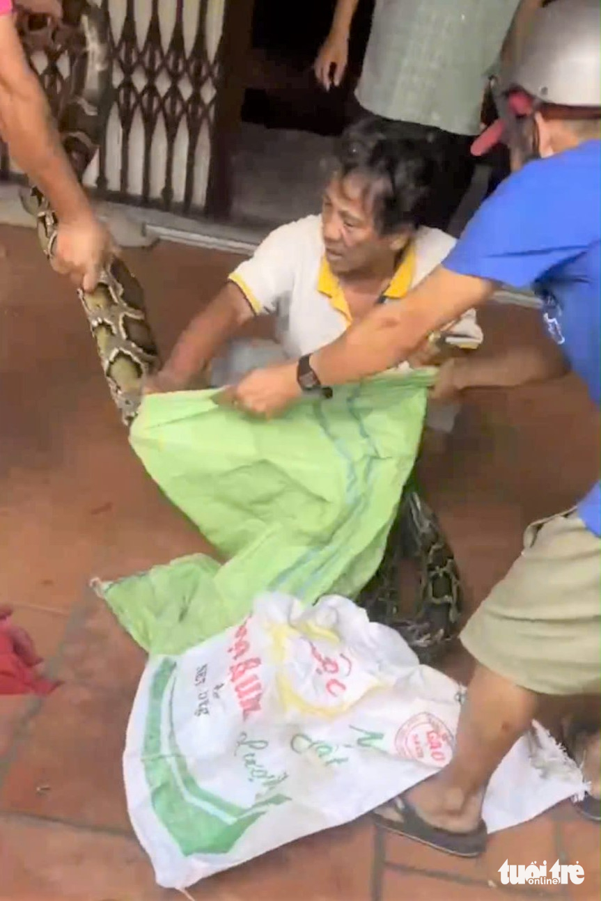 Bắt được con trăn 'khủng' từ núi Sam bò vào nhà dân giữa trưa | VOZ