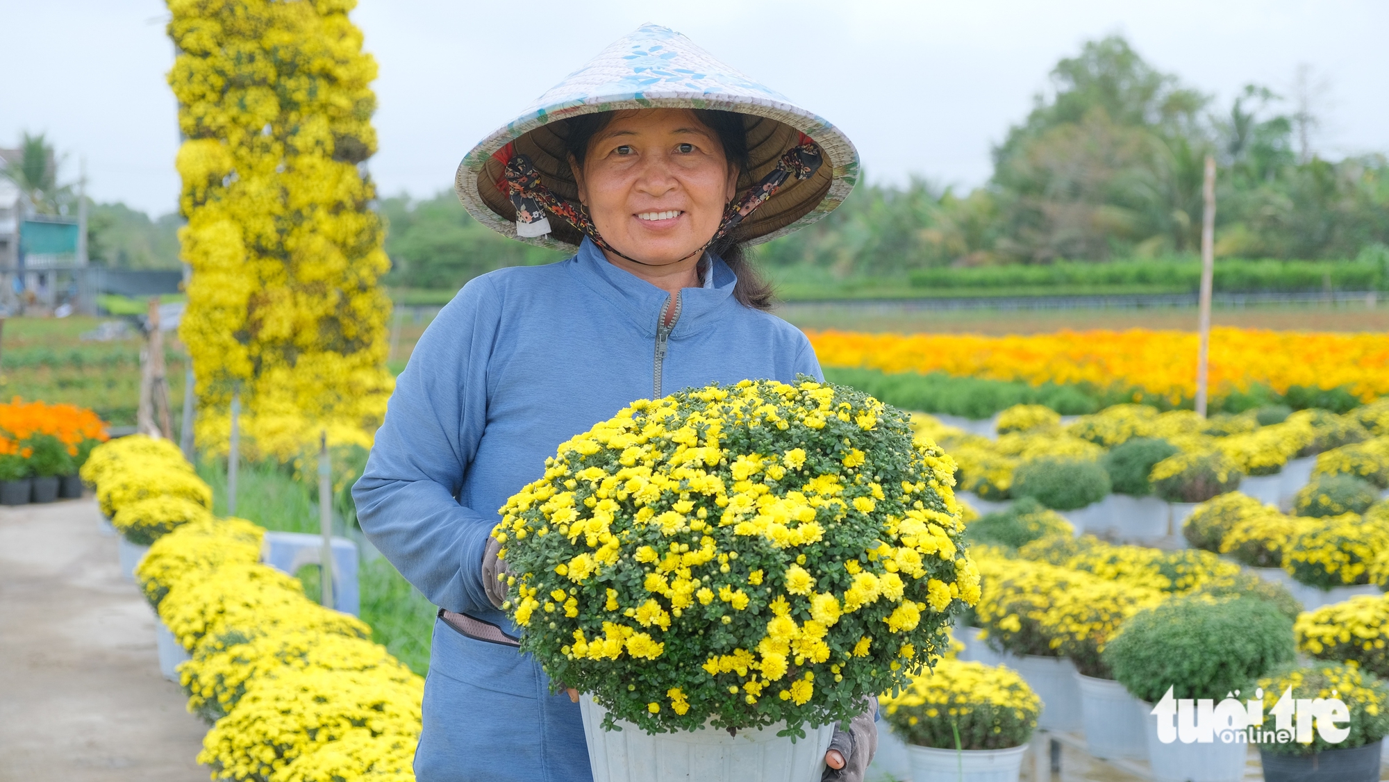 Làng hoa Sa Đéc dập dìu chuyển hoa từ ruộng lên phố trang trí Tết tây ...
