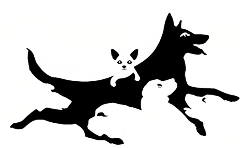 Quiz: Số lượng con chó đếm được tiết lộ tuổi não của bạn - Tuổi Trẻ Online