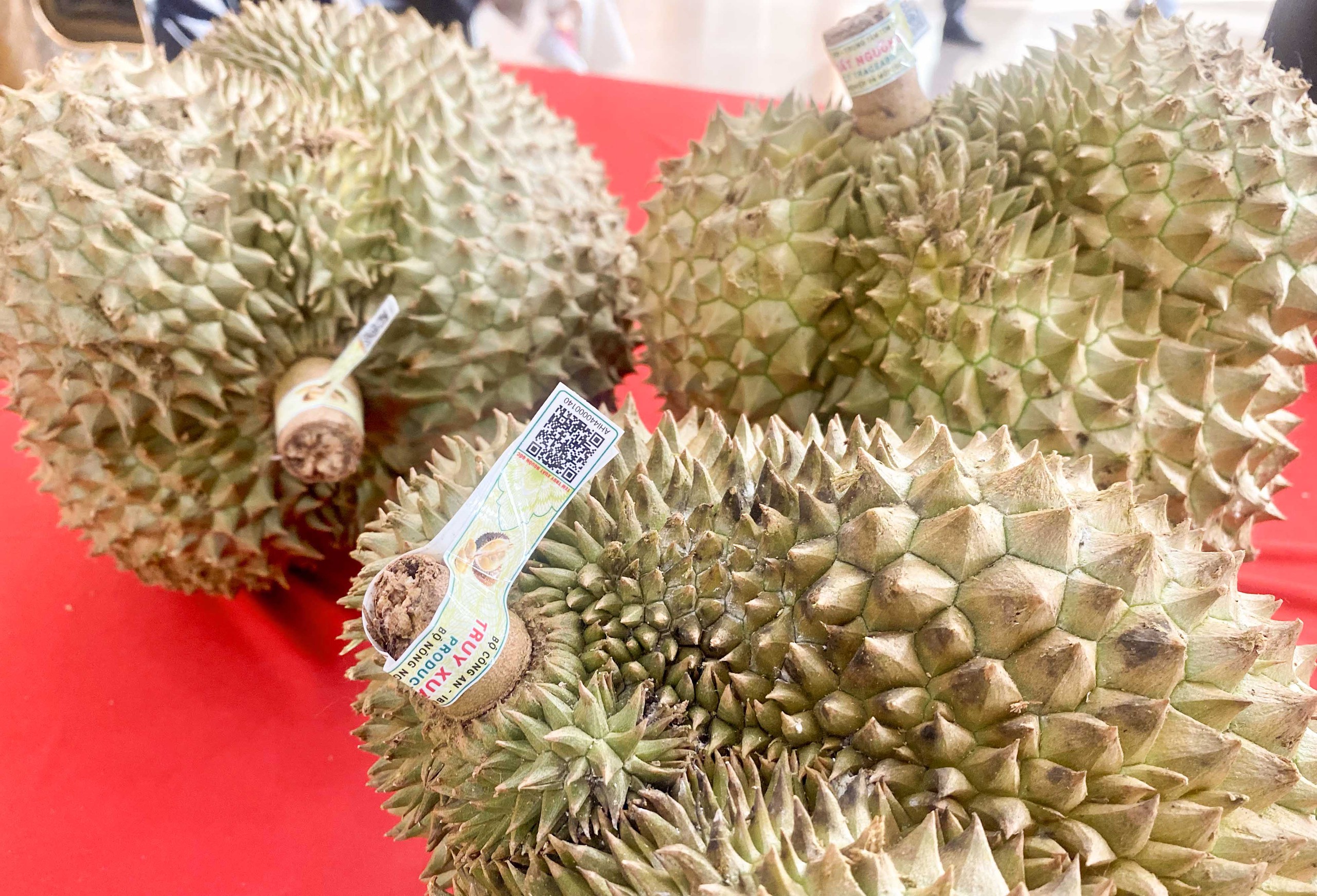 Vietnam launches national farm produce traceability system, pilots ...