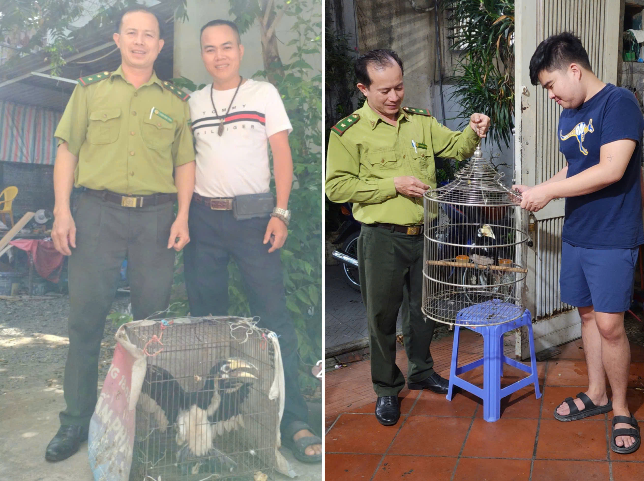 Thêm chim quý hiếm bay lạc tại quận 7, nghi sổng chuồng - Tuổi Trẻ Online