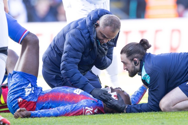 Thủ môn đá 'kung fu' khiến tiền đạo Crystal Palace gặp chấn thương kinh ...