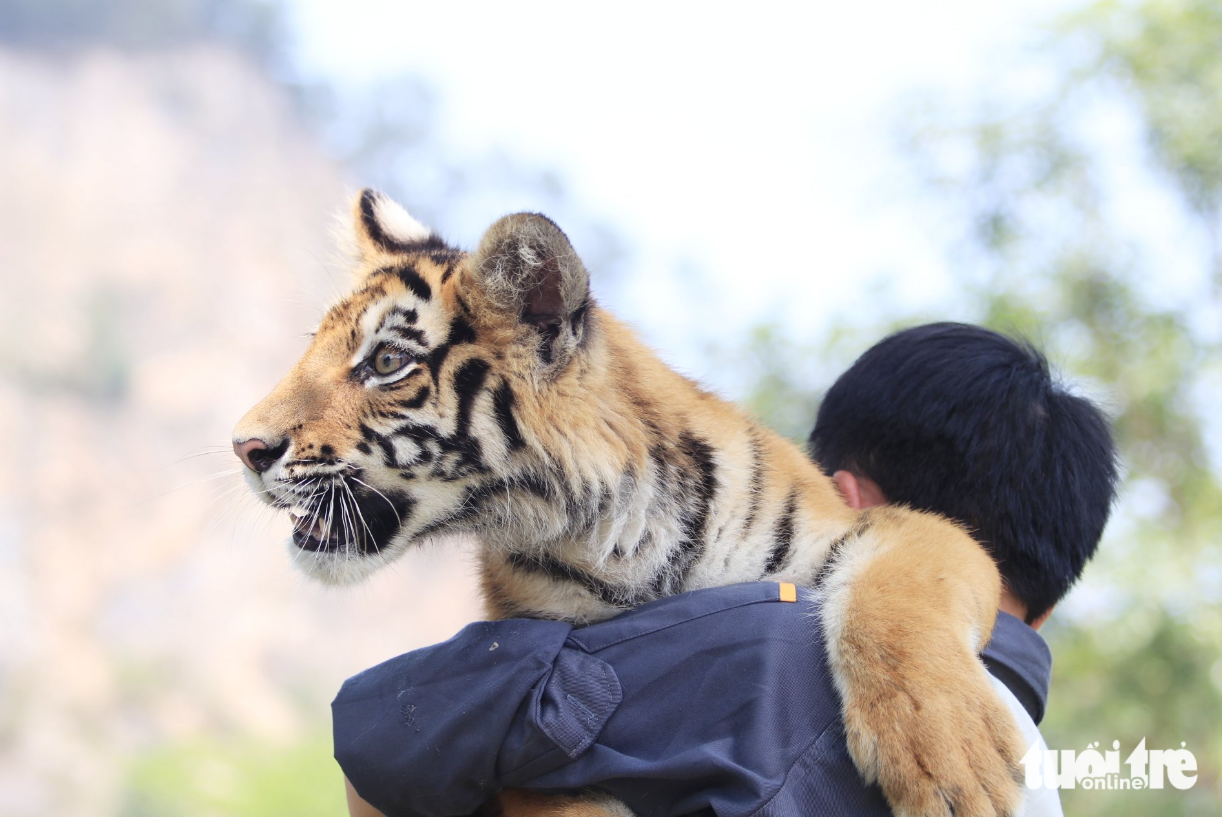 Tourist area in north-central Vietnam warned for letting visitors ...