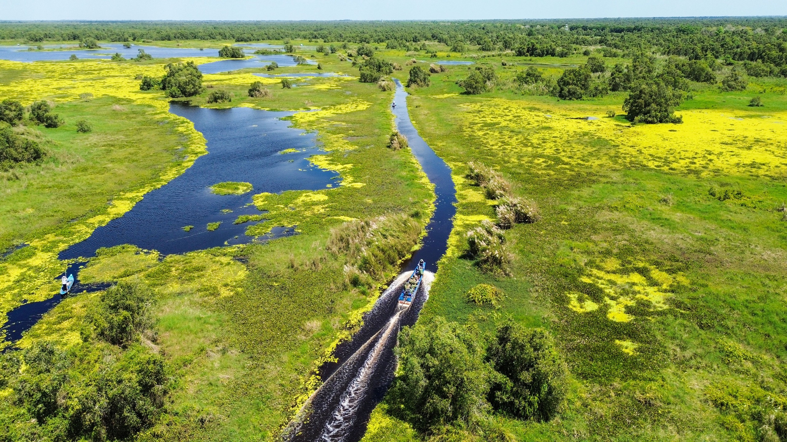 Tạm ngưng câu cá giải trí ở Vườn quốc gia U Minh Thượng để phòng cháy rừng - Tuổi Trẻ Online