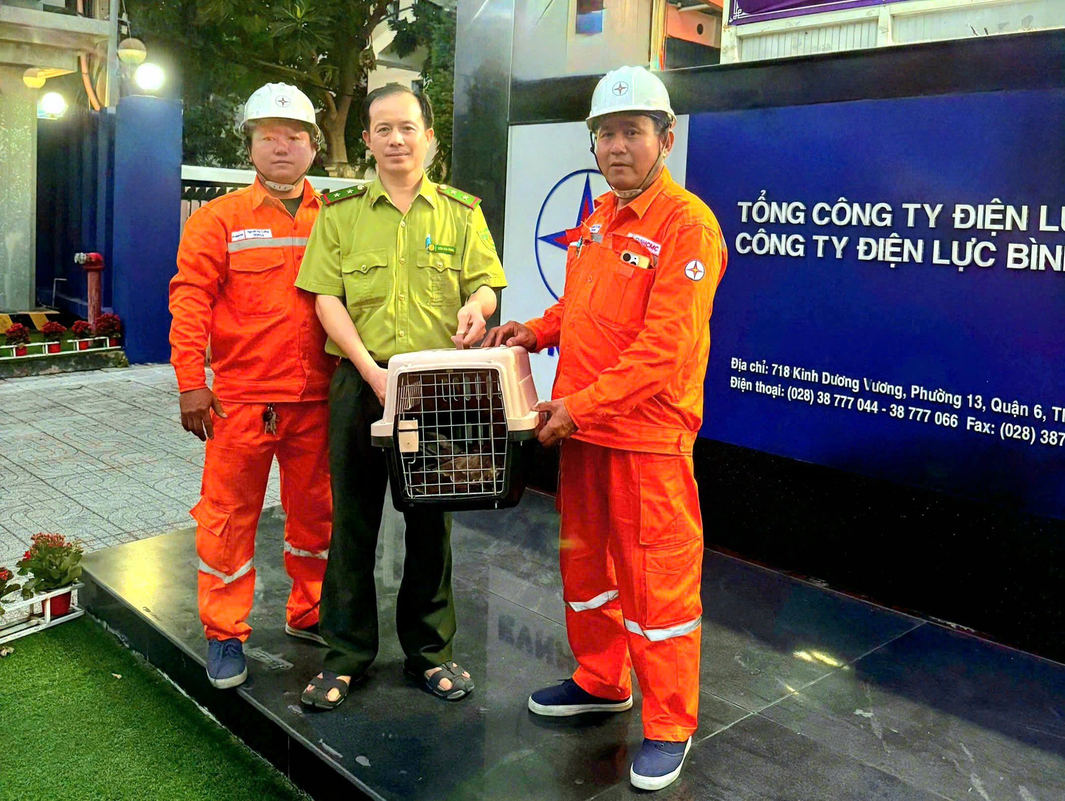 Điều xe chuyên dụng, cắt điện giải cứu một con chim diều núi mắc kẹt ...