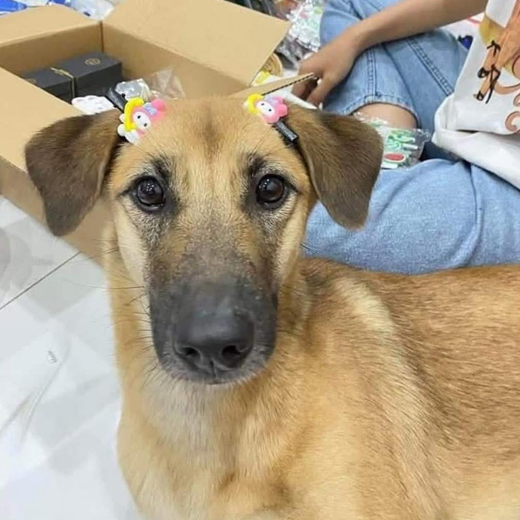 Ảnh vui 27-5: Cô giáo gửi lời nhắn nhủ phụ huynh khi đi họp về - Tuổi ...