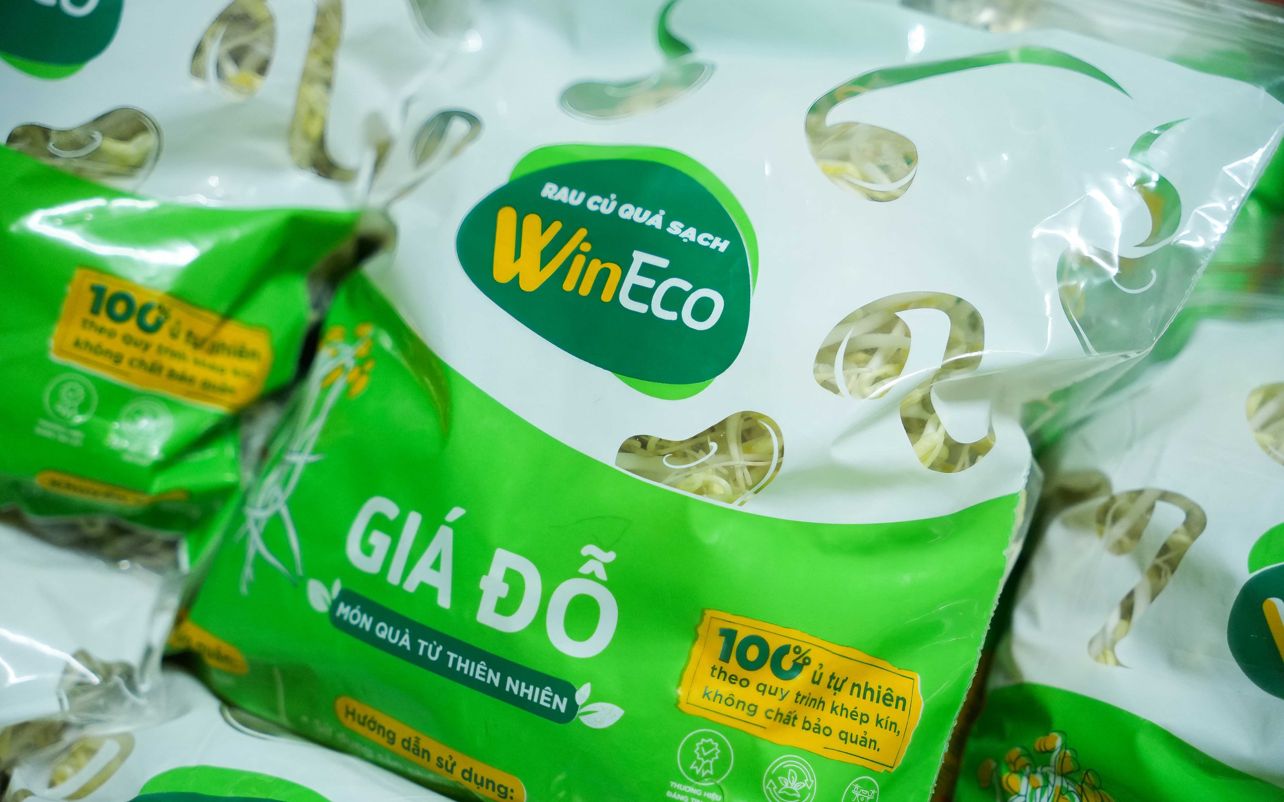 WinEco nâng chất lượng giá đỗ Việt nhờ công nghệ và kiểm soát quy trình ...