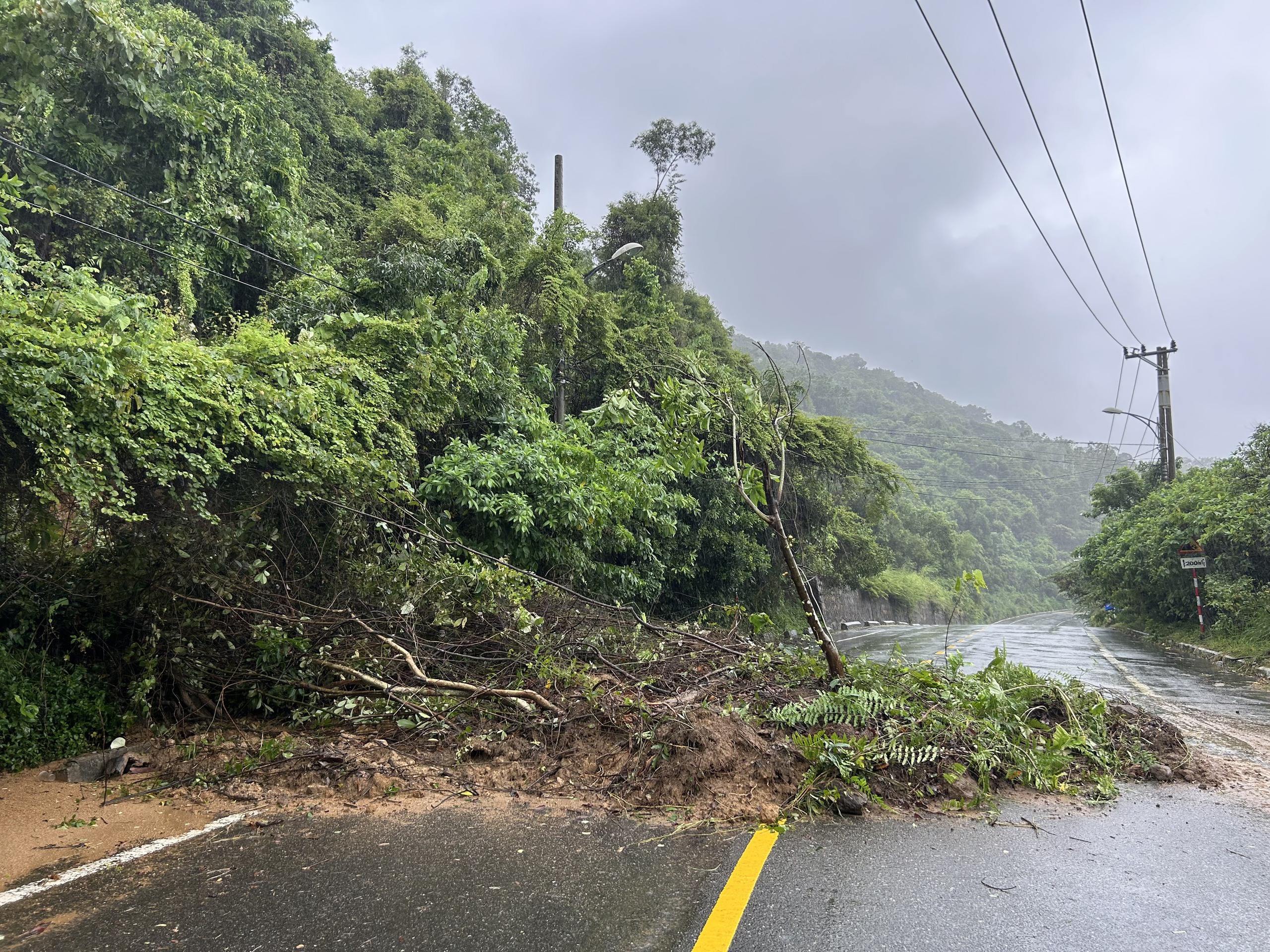 Bán đảo Sơn Trà xuất hiện nhiều điểm sạt lở, đất đá chắn ngang đường đi ...