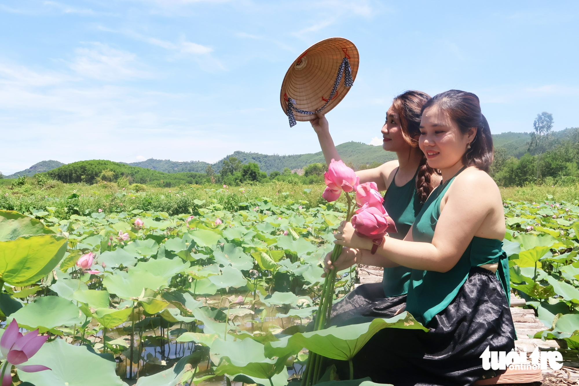 Amazingly beautiful lotus season in Tra Ly, tourists flock to check-in