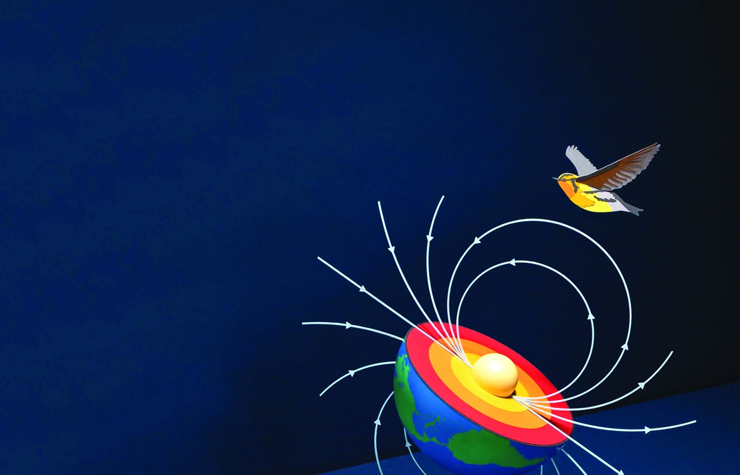 Vật lý lượng tử trên đường chim di cư - Tuổi Trẻ Online