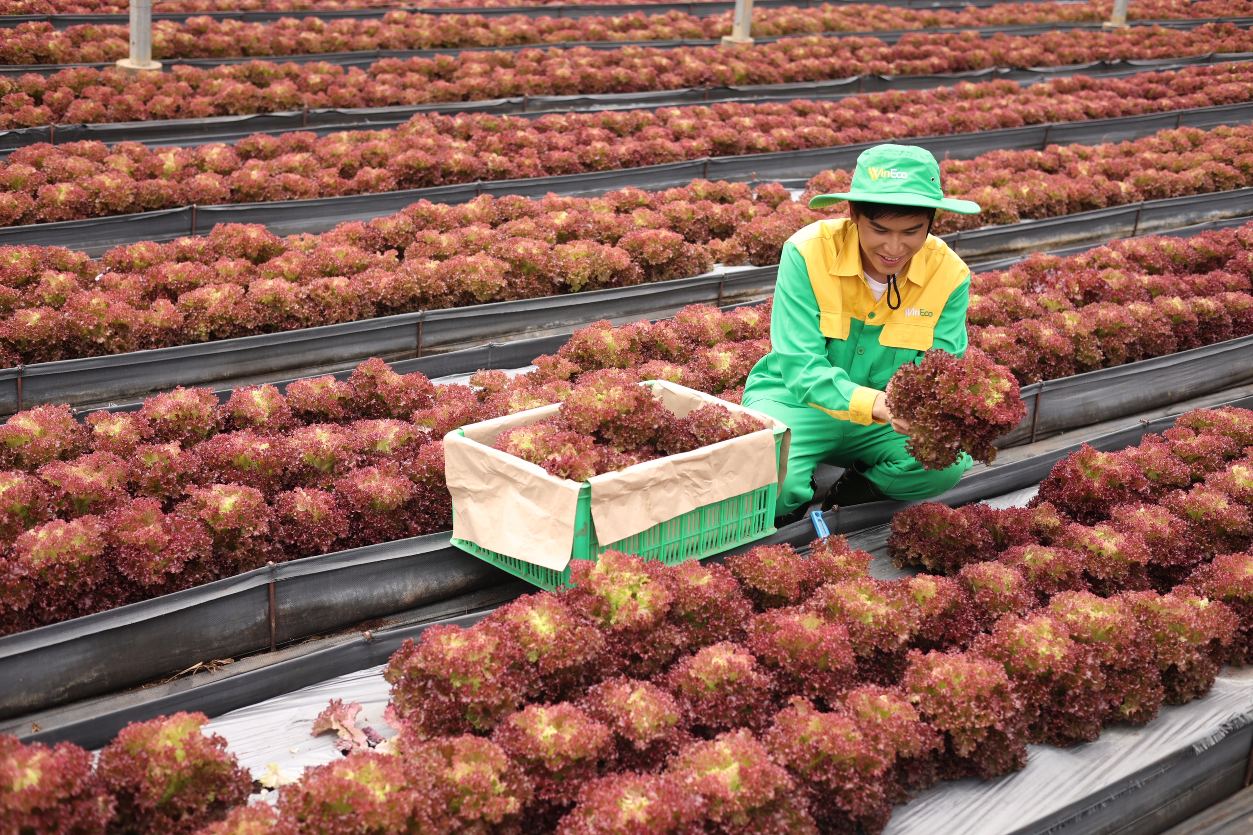 Masan Group drives innovation for sustainable development