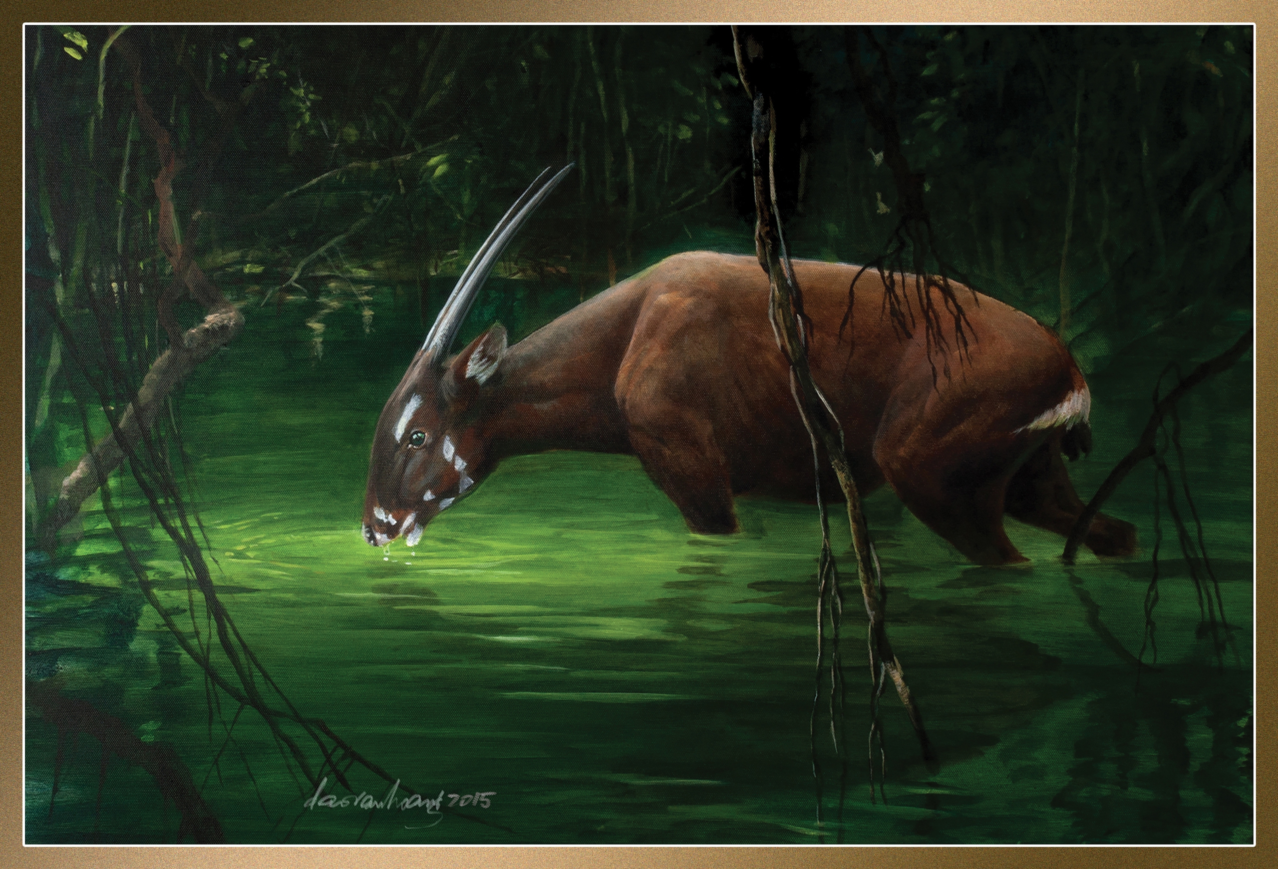 In Vietnam, Dao Van Hoang turns art into voice for nature