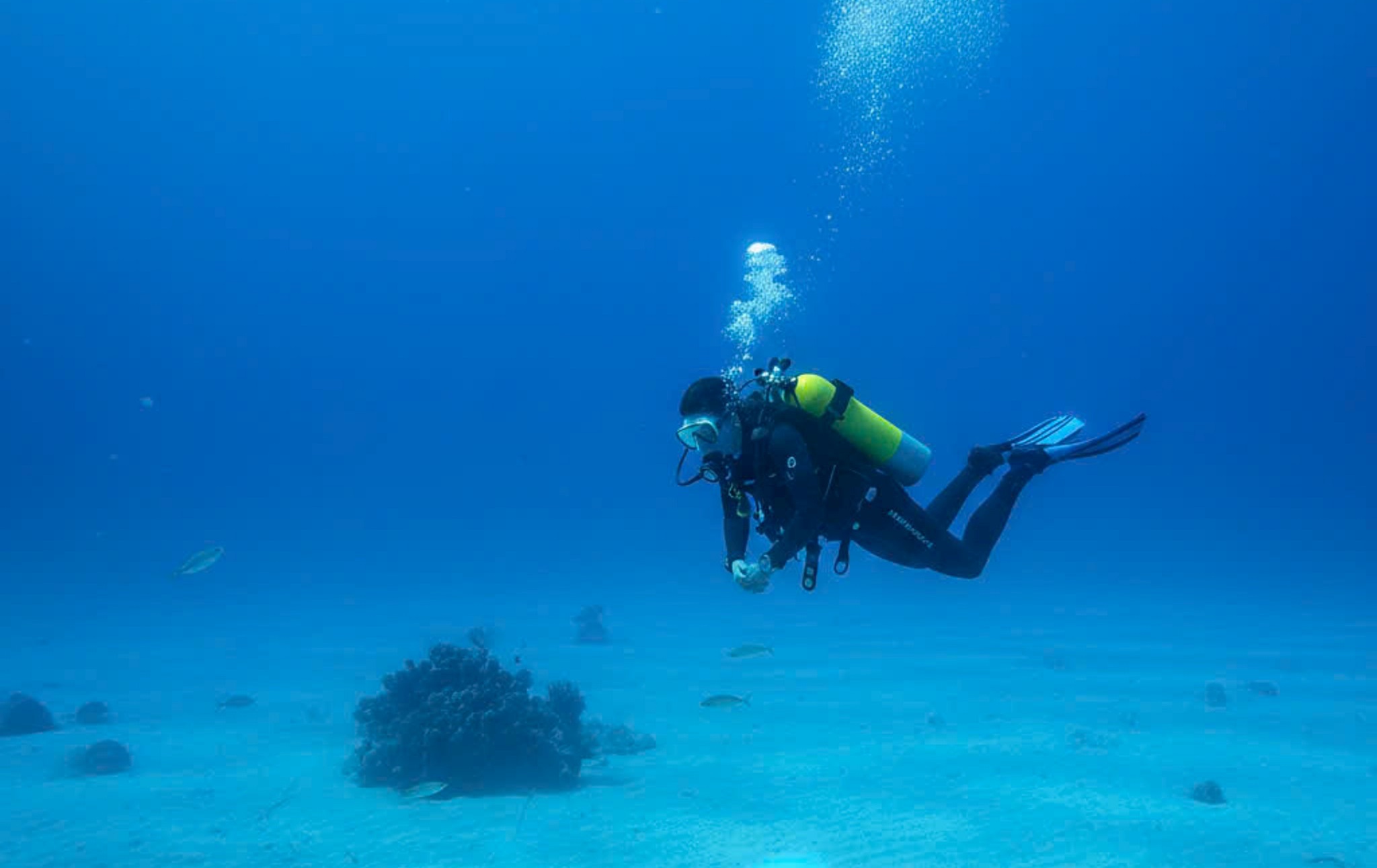 Diver dies, another critical after deep sea dive in central Vietnam