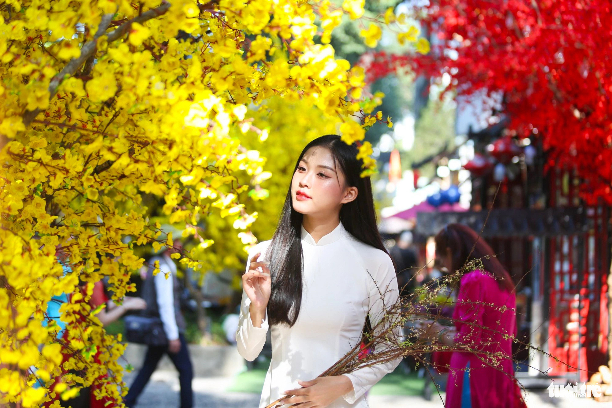 The Vietnamese Tet Festival at the Ho Chi Minh City Youth Cultural ...