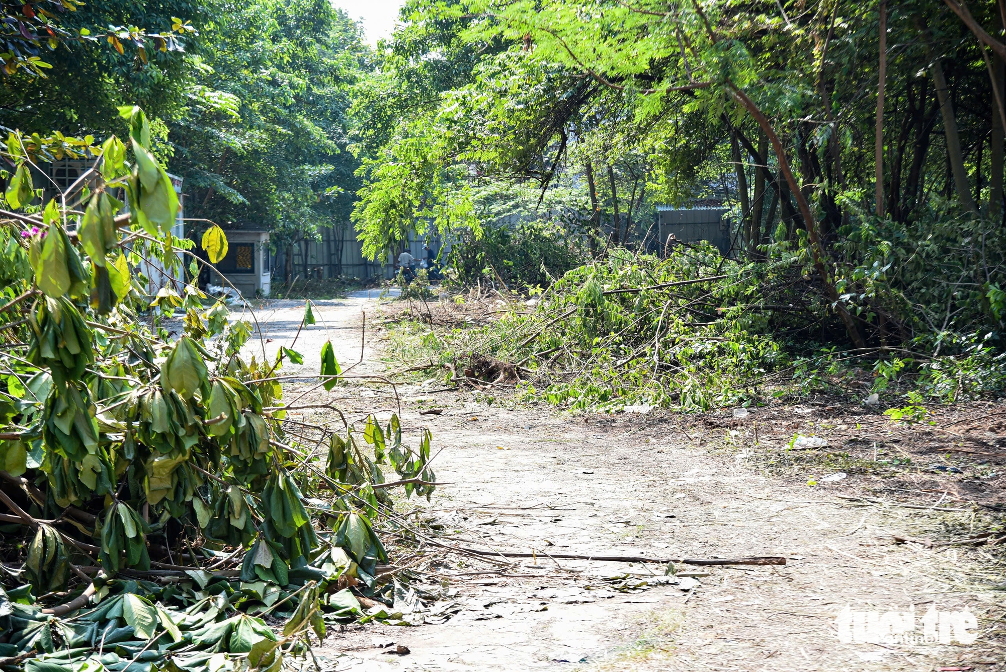 9 prime downtown sites in Ho Chi Minh City set to become temporary Tet ...