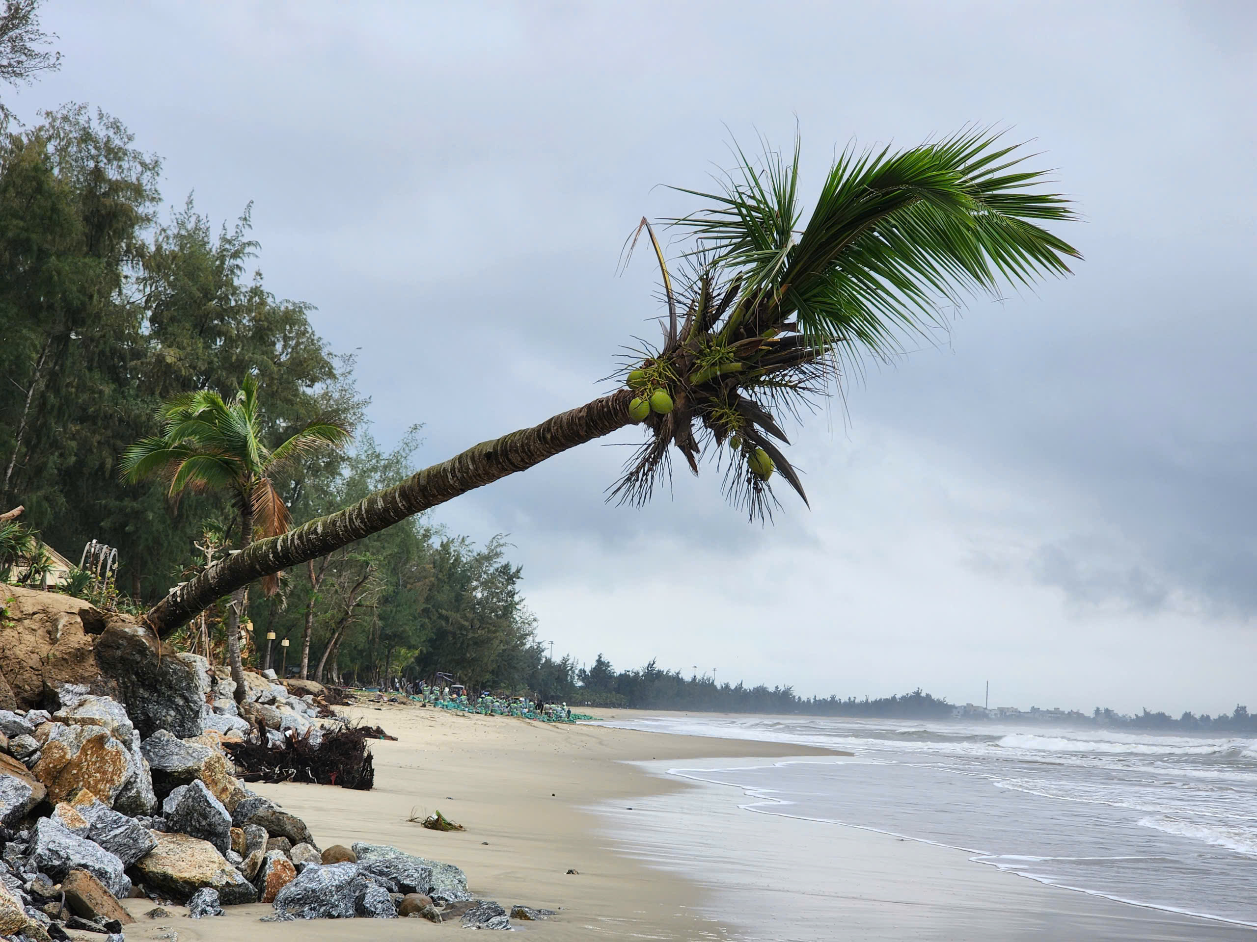 Quang Ngai seeks to 'curb' the RIP flow to protect tourists during the ...