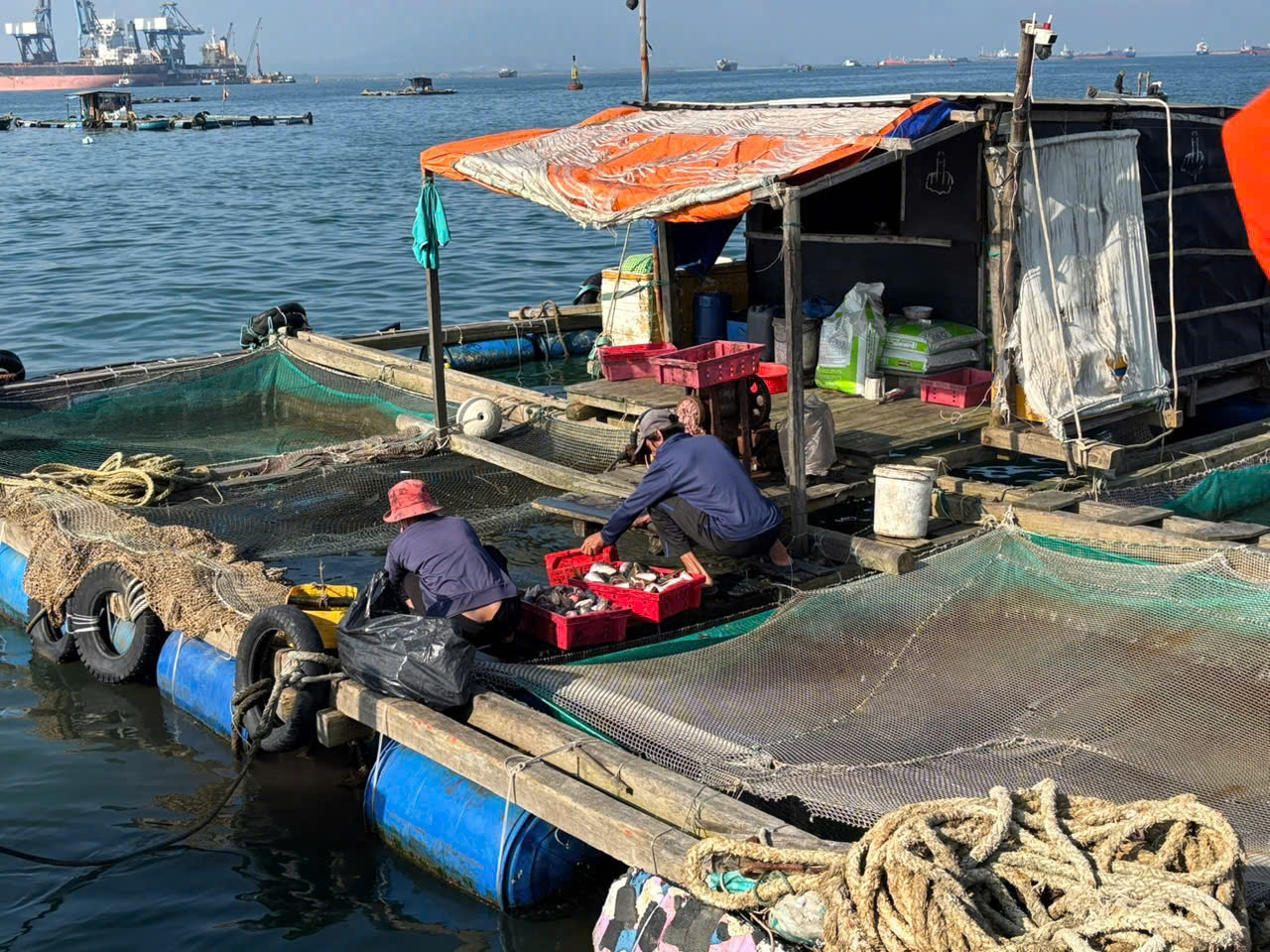 Floating cages for aquaculture are 'temporarily residing' and ...