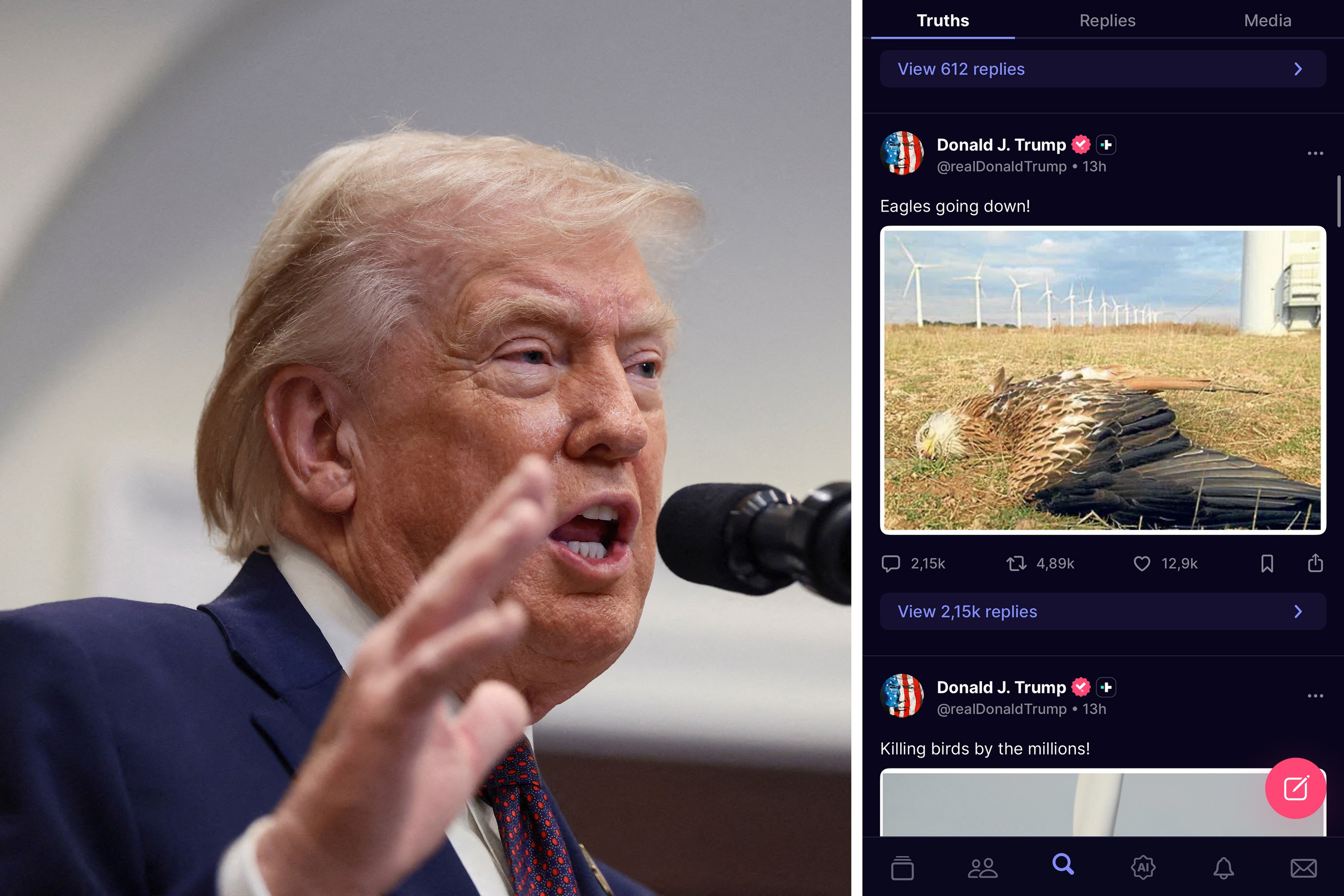 Tổng thống Trump tiếp tục đổ lỗi cho turbine điện gió giết chết loài ...