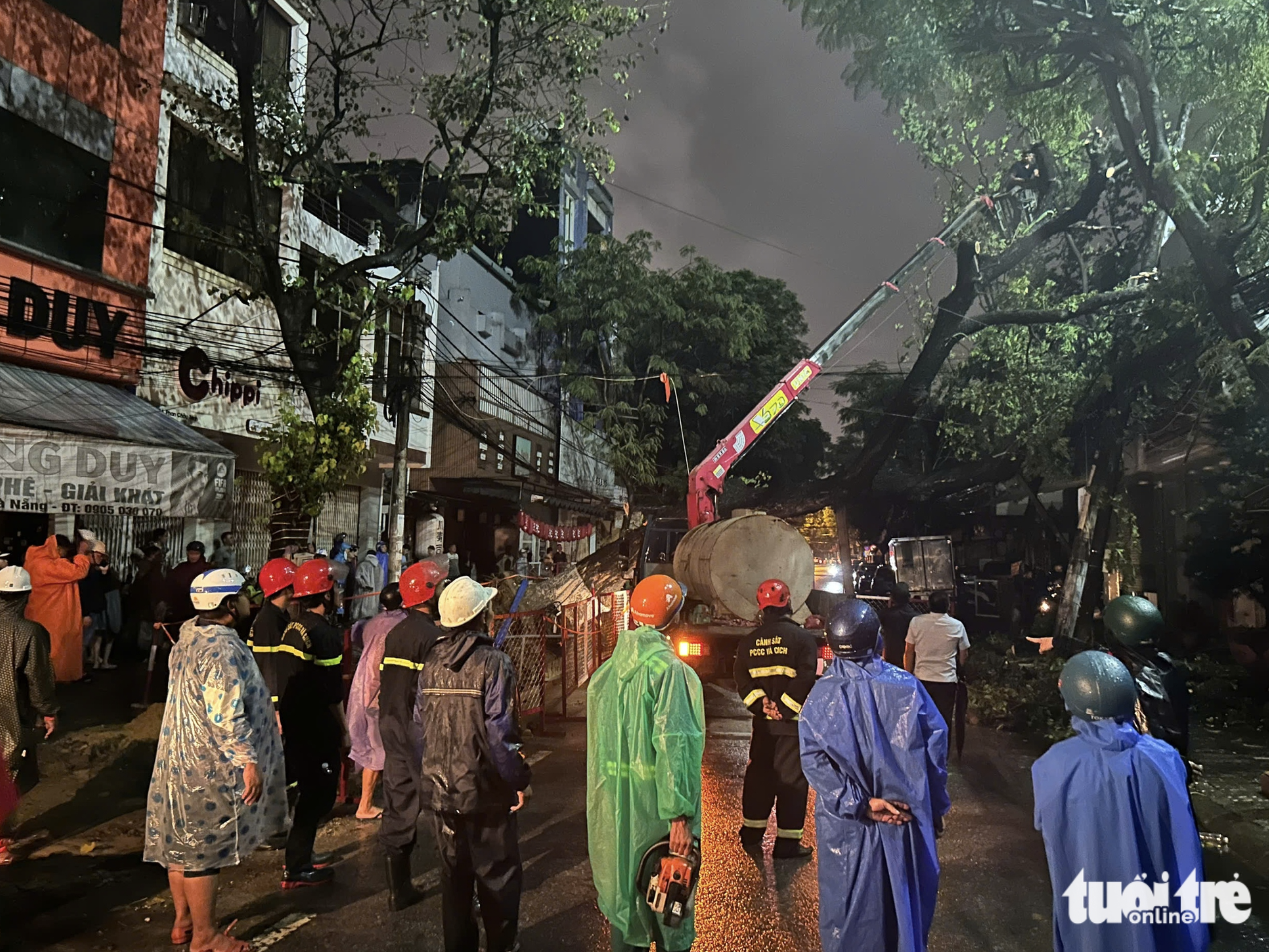 Toppled tree cuts power on downtown street in Da Nang