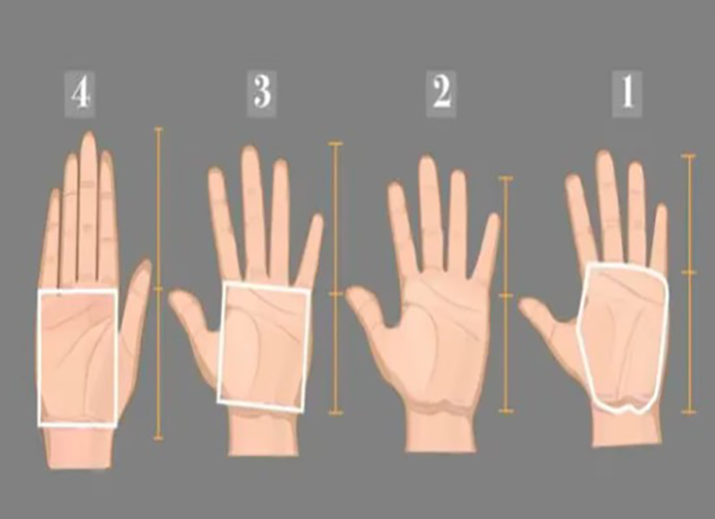 Quiz: Hình dạng lòng bàn tay tiết lộ nhiều bí mật về tính cách bạn ...