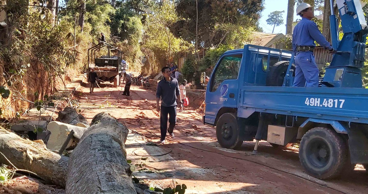 Đen Vâu, xá xị và... Đà Lạt - Tuổi Trẻ Online