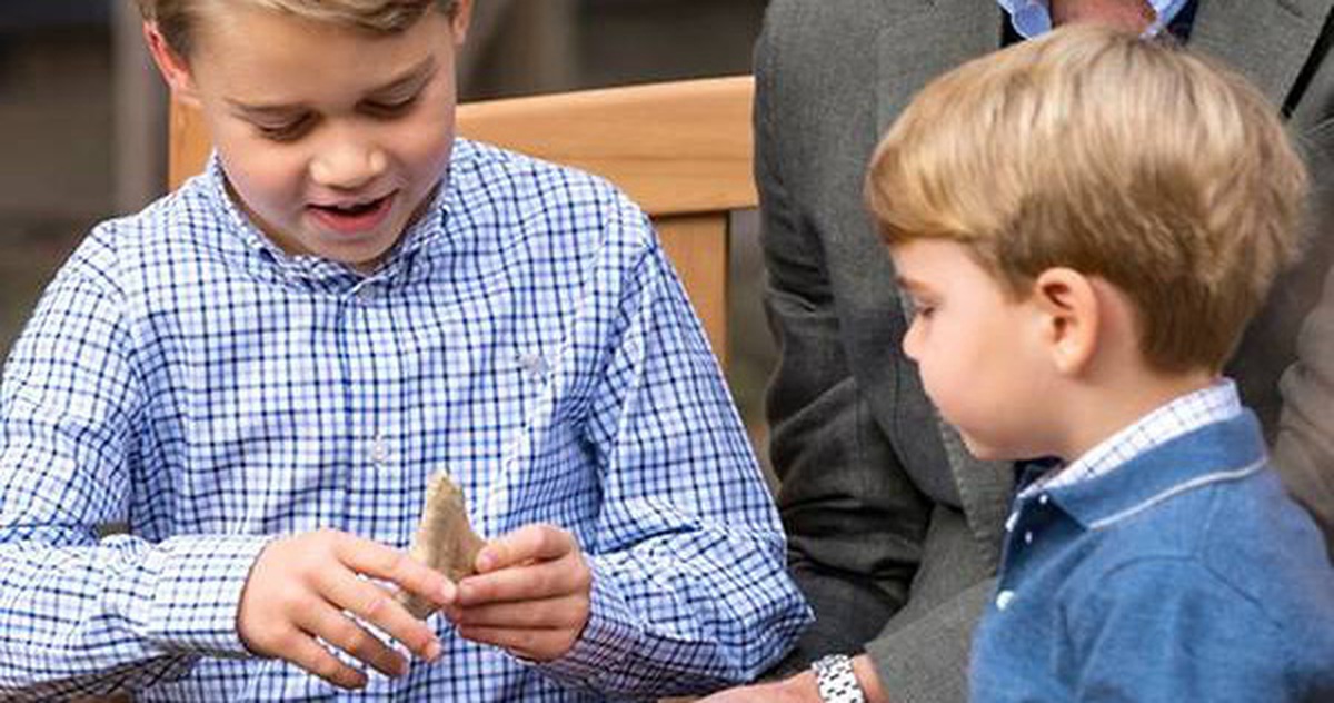 Hoàng tử bé nước Anh bị đòi lại răng cá mập 3 triệu năm - Tuổi Trẻ Online