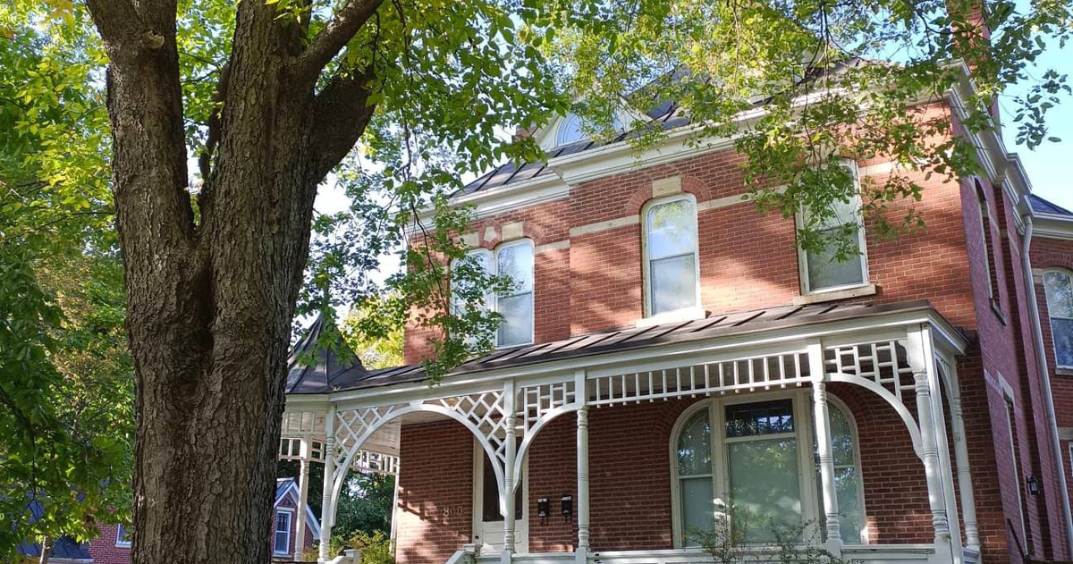 Văn chương, hạt dẻ và con mèo - Tuổi Trẻ Online