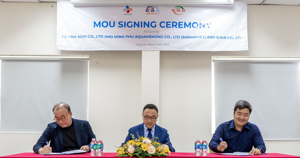 CJ Vina Agri hợp tác phát triển ngành nuôi tôm cùng ShrimpVet và B.H.N ...