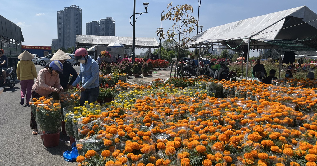Chợ hoa Tết đóng cửa, người bán ráng 'vớt vát' cú chót - Tuổi Trẻ Online