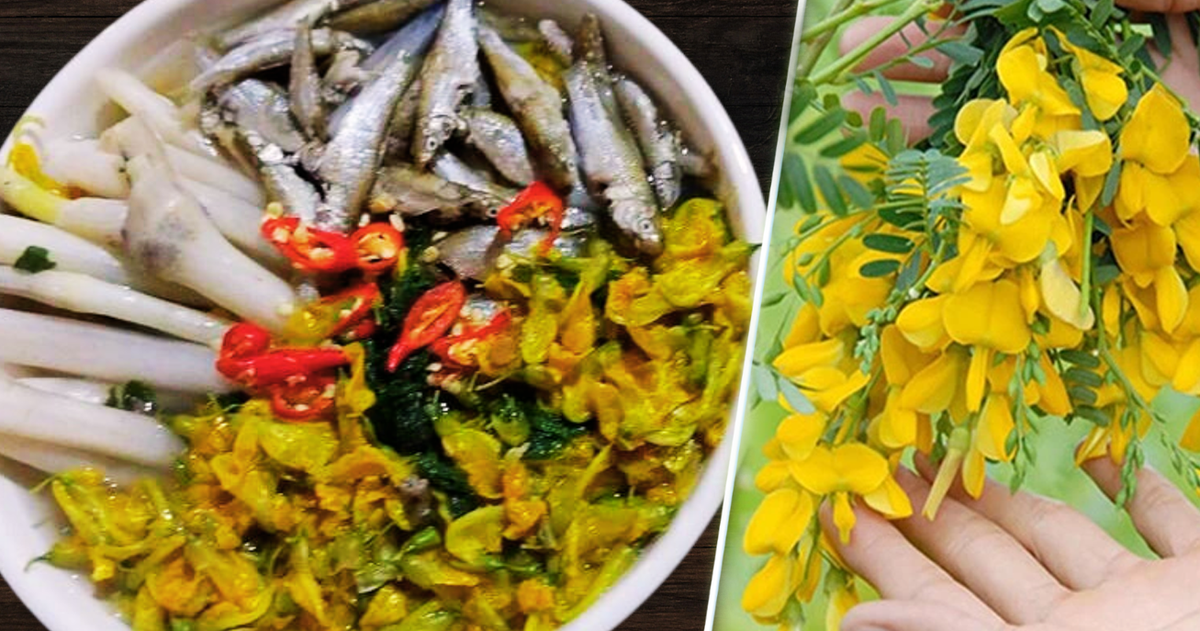 BÔNG ĐIÊN ĐIỂN được xem như một vị thuốc có thể cải thiện sức khỏe ...
