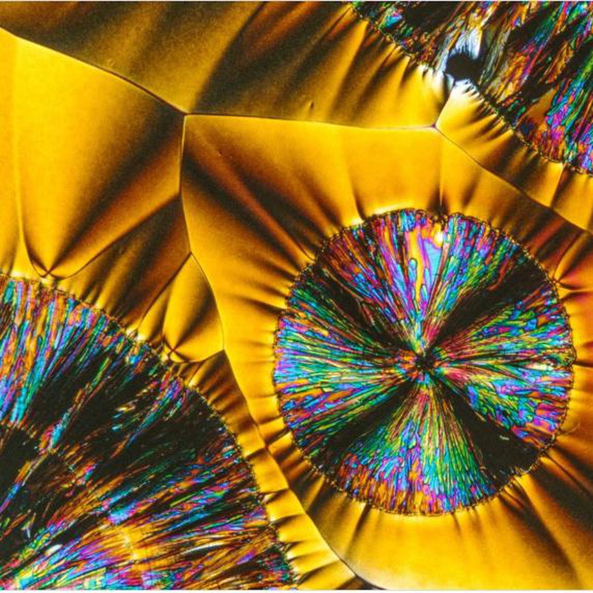 Ngắm ảnh hóa chất kỳ ảo dưới kính hiển vi - Tuổi Trẻ Online