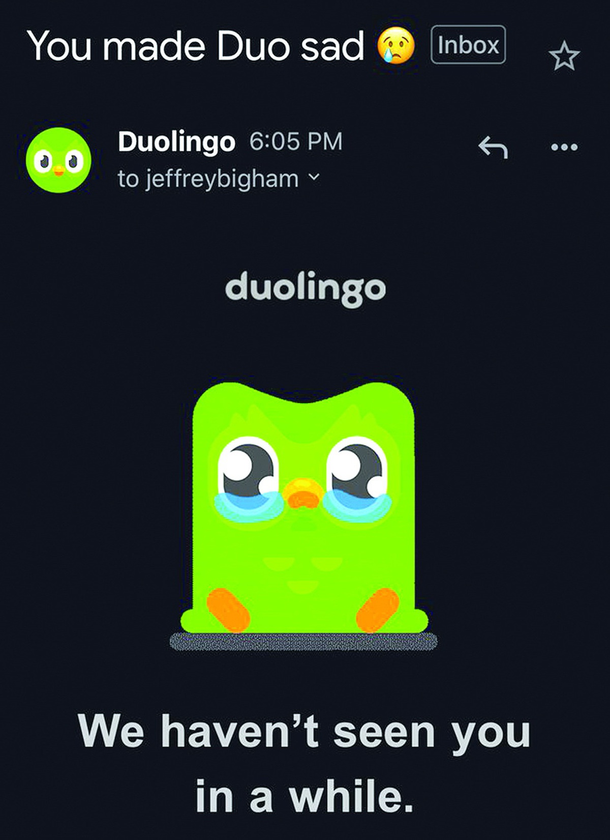 Duolingo: Thú đau thương của vừa chơi vừa học - Tuổi Trẻ Online