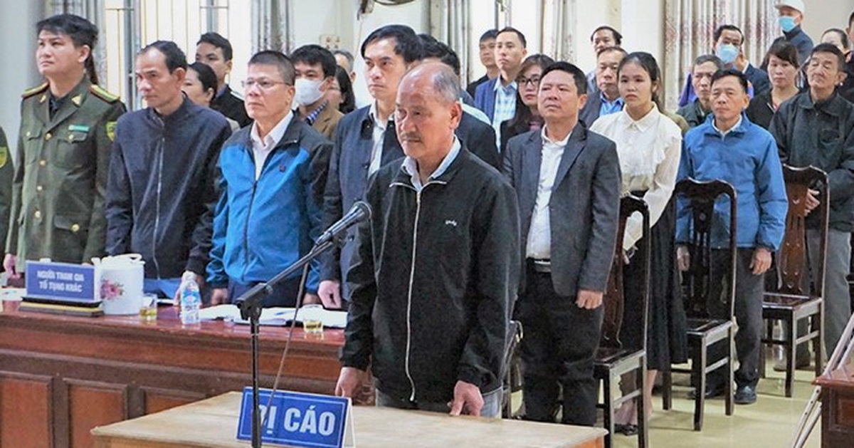 Bồi thường 1,2 tỉ đồng vì chặt phá hơn 4,7 hecta rừng - Tuổi Trẻ Online