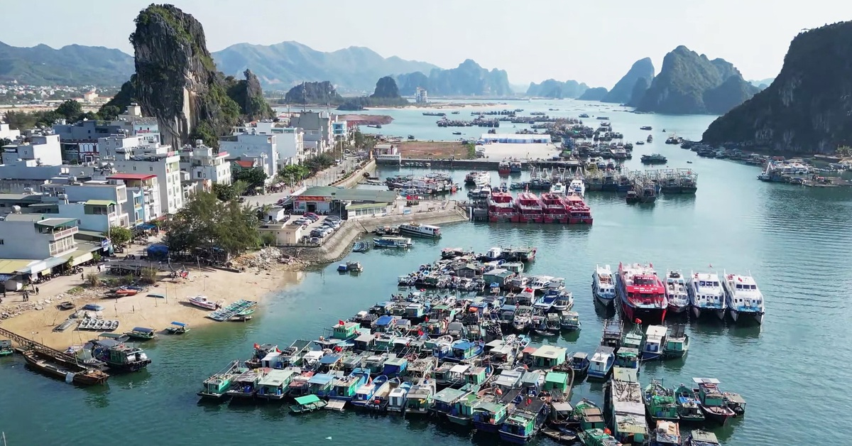 Chủ tàu du lịch lo lắng khi cảng Cái Rồng giới hạn hoạt động - Tuổi Trẻ ...